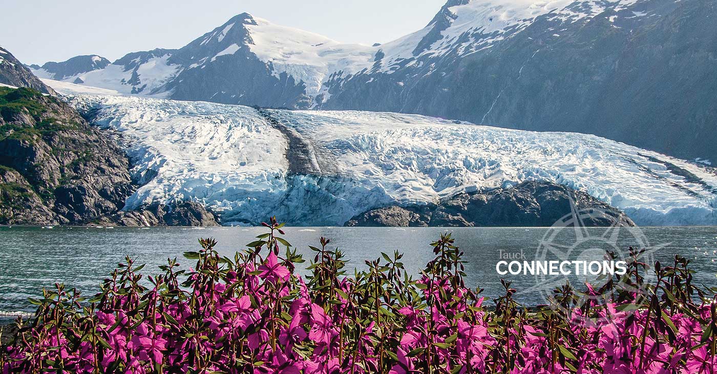 Glacial Beauty - The Taucker Travel Blog