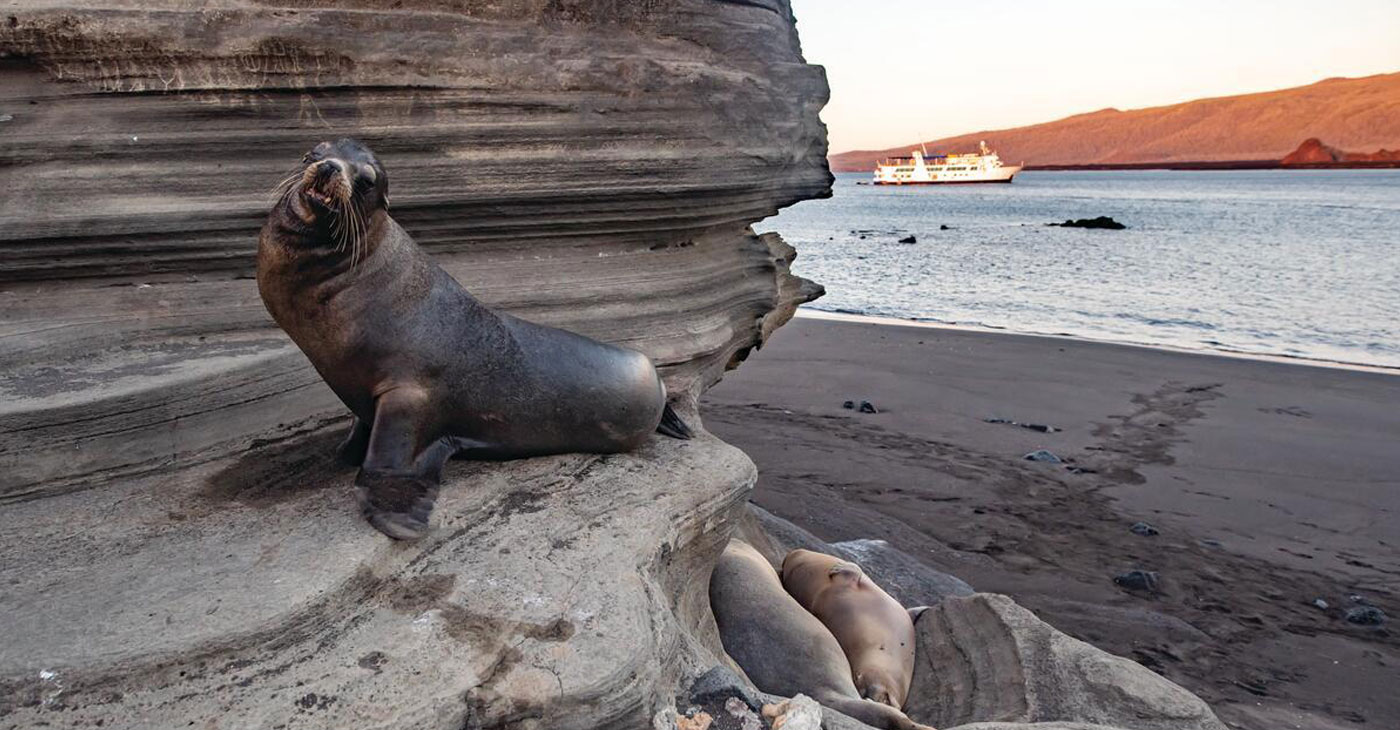 Cruising the Galápagos Islands - The Taucker Travel Blog